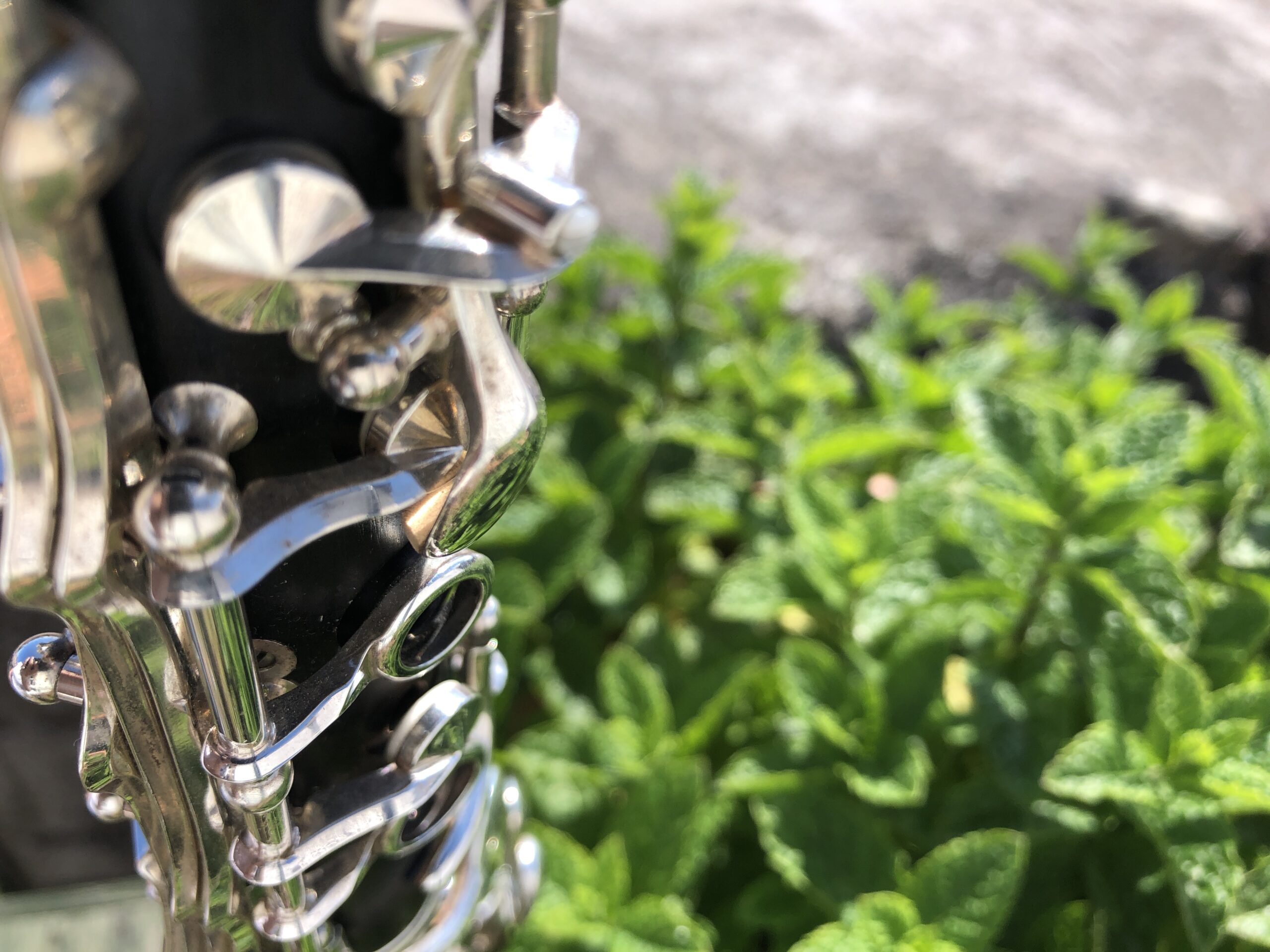 Clarinet and Flute Sessions | Fife Sax School